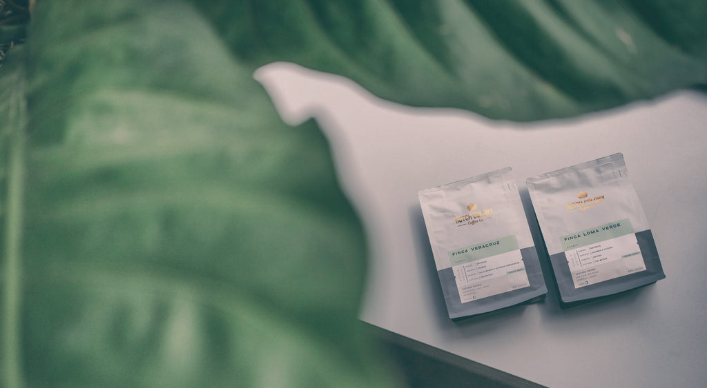 Dutch Colony Coffee Co.